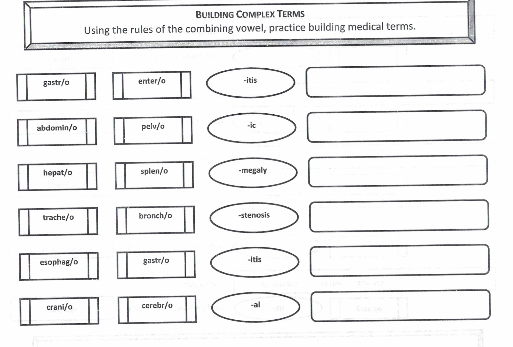 Solved WORD BUILDING PRACTICE Using the rules of the | Chegg.com
