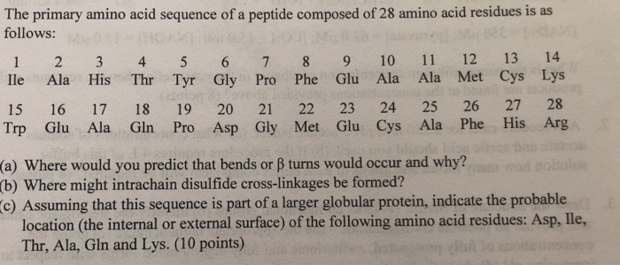 Solved The primary amino acid sequence of a peptide composed | Chegg.com
