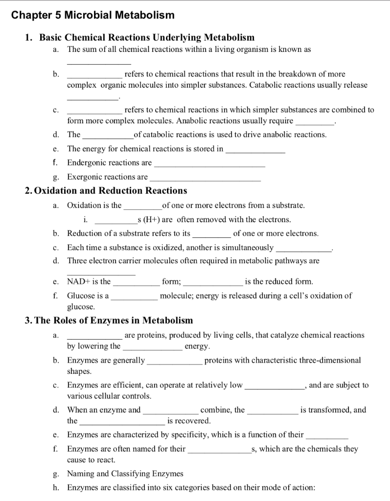 Solved Chapter 5 Microbial Metabolism 1. Basic Chemical | Chegg.com