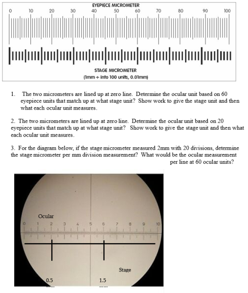 Micrometer Unit