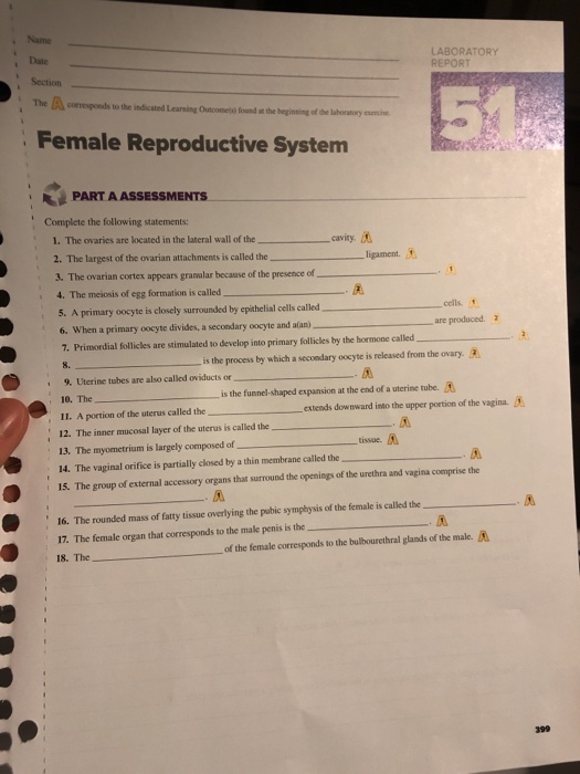 Solved i Date LABORATORY REPORT Section 5 The A corresponds | Chegg.com