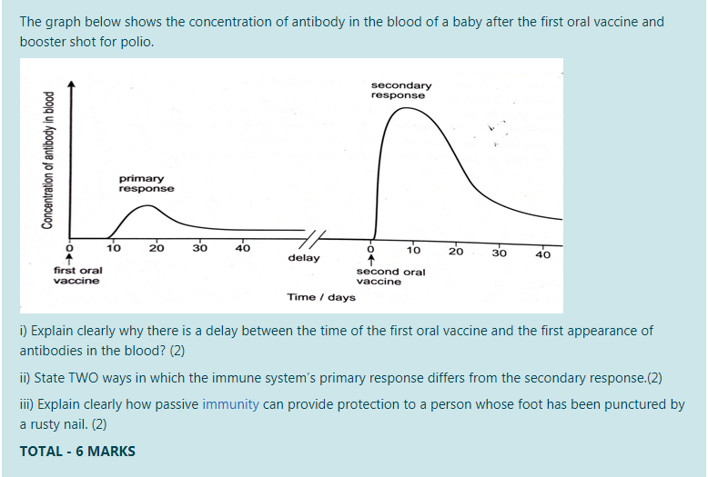 Solved The graph below shows the concentration of antibody | Chegg.com