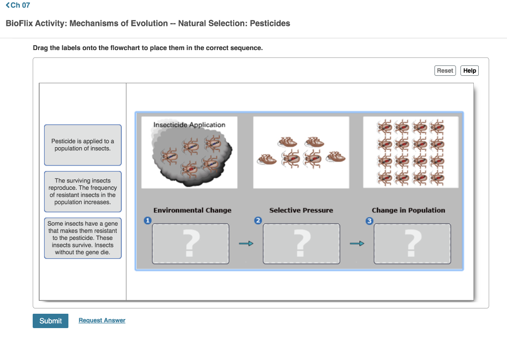 Solved Question | Chegg.com