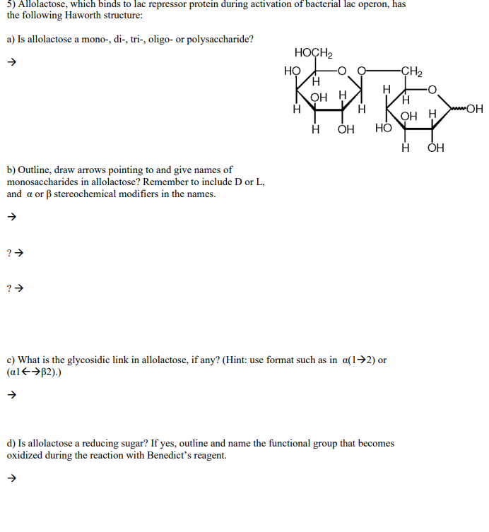 Solved 5) Allolactose, which binds to lac repressor protein | Chegg.com
