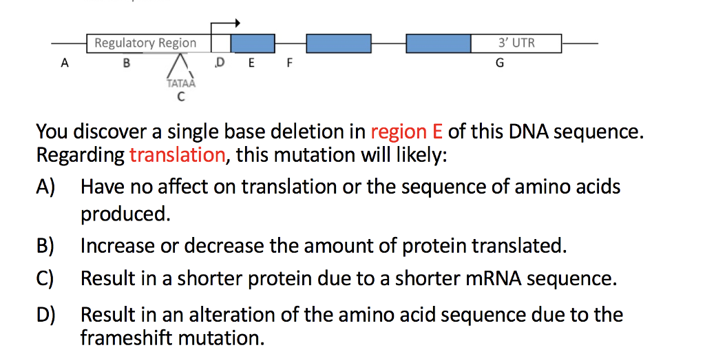 Translation Mutation