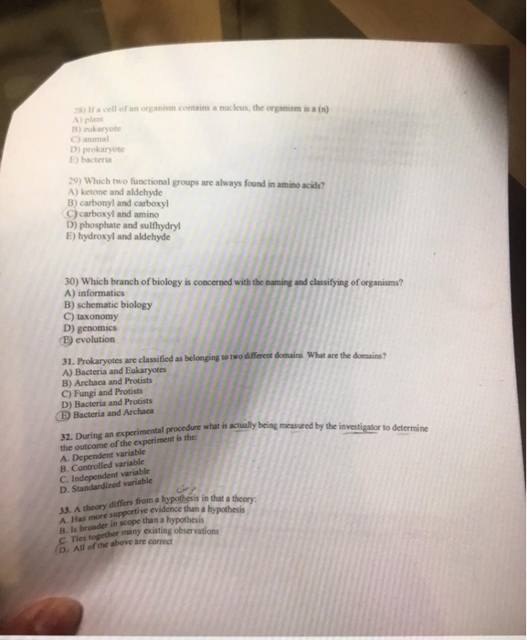 Solved 28) If a cell of an organism contains a macleus, the | Chegg.com