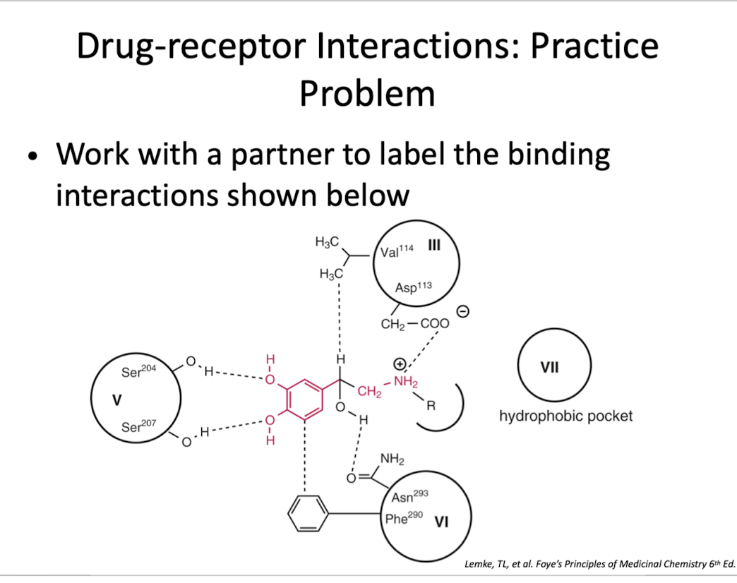 Solved Drug-receptor Interactions: Practice Problem Work | Chegg.com