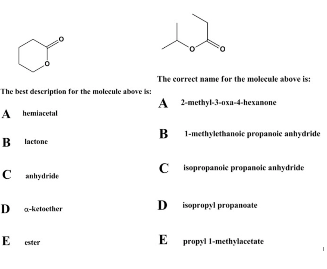 Solved home The correct name for the molecule above is: The | Chegg.com
