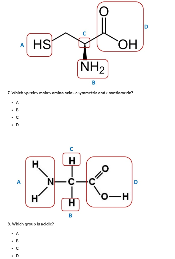 Solved i NH H3C OH H2N. HN OH OH NH2 NH2 NH2 A B с 5. Which | Chegg.com