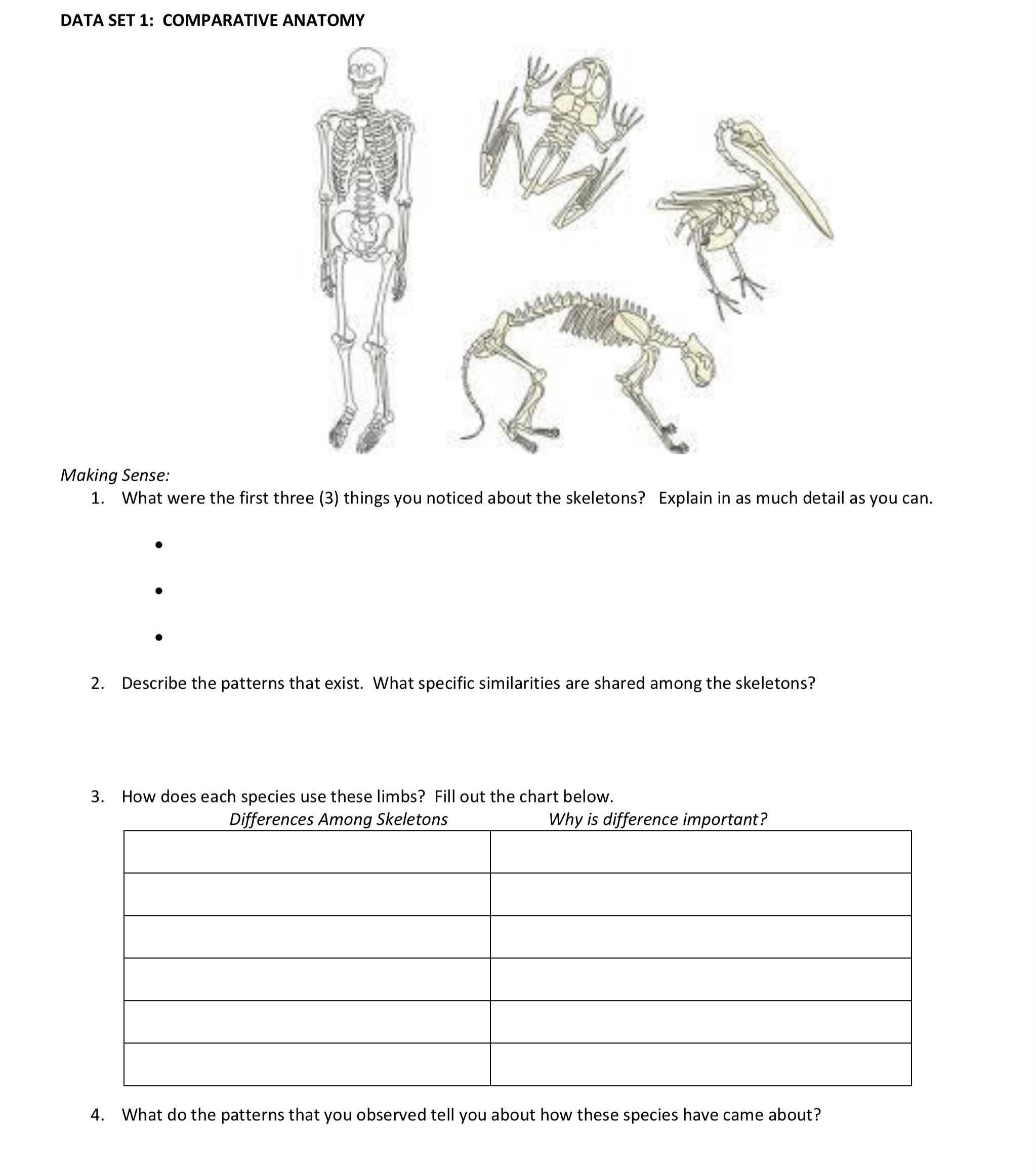 Solved DATA SET 1: COMPARATIVE ANATOMY Making Sense: 1. What | Chegg.com