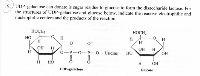 Solved 19. UDP-galactose can donate is sugar residue to | Chegg.com