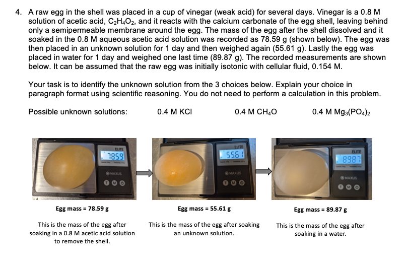 Solved 4. A raw egg in the shell was placed in a cup of | Chegg.com
