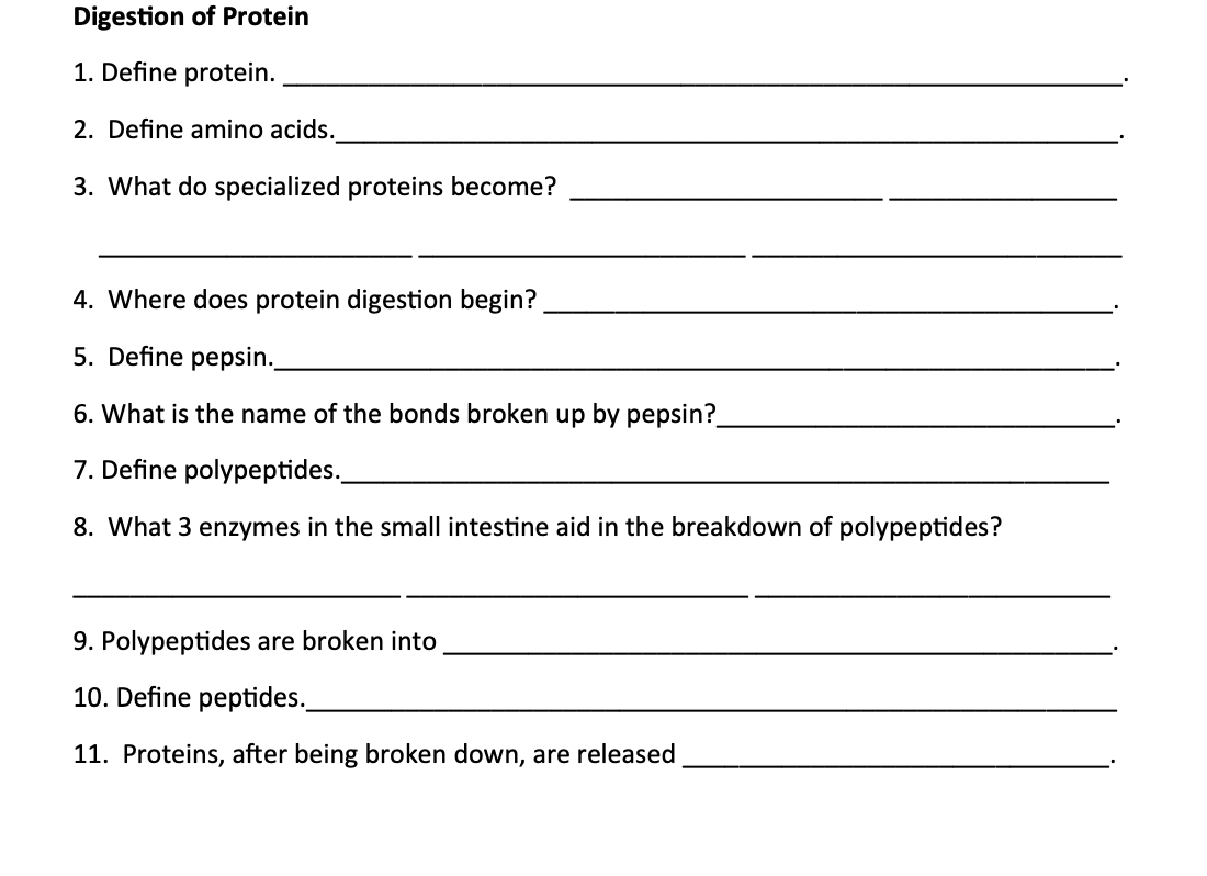 Solved Digestion of Protein 1. Define protein. 2. Define | Chegg.com