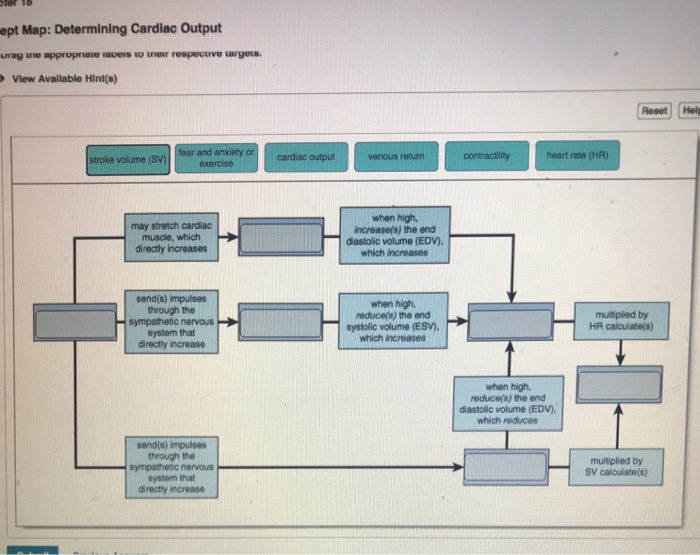 Solved ept Map: Determining Cardiac Output urng ule .ap | Chegg.com
