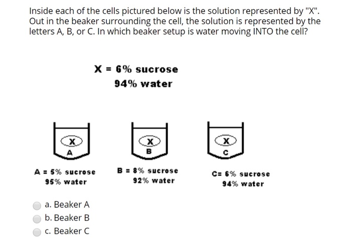 Solved Inside each of the cells pictured below is the | Chegg.com