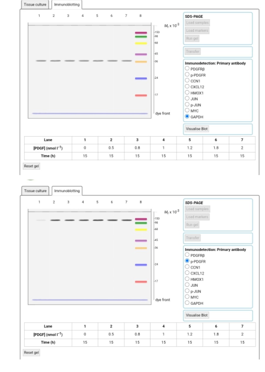 Solved compare 2 ﻿Experiments on ImagesTissue | Chegg.com