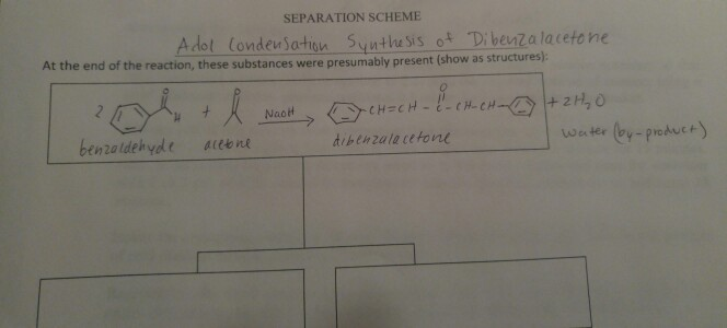 Solved need help with this separation scheme of Synthesis of | Chegg.com