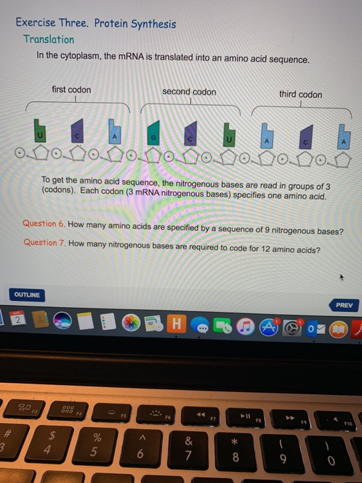 Solved Exercise Three. Protein Synthesis Translation In the | Chegg.com