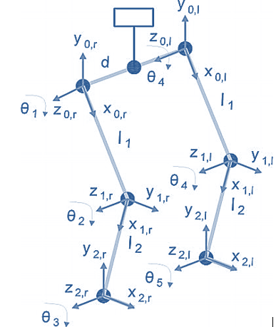 Solved 1. Calculate the direct kinematics of the two legs of | Chegg.com