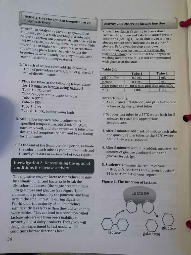 Solved Name Unit 4: Enzymes Lab time Activity 2.1 14. What | Chegg.com Solved Name Unit 4: Enzymes Lab time Activity 2.1 14. What | Chegg.com