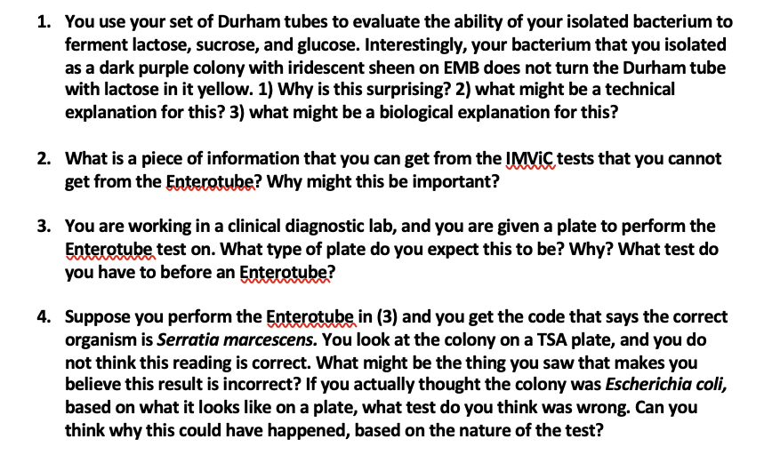 Solved 1. You use your set of Durham tubes to evaluate the | Chegg.com