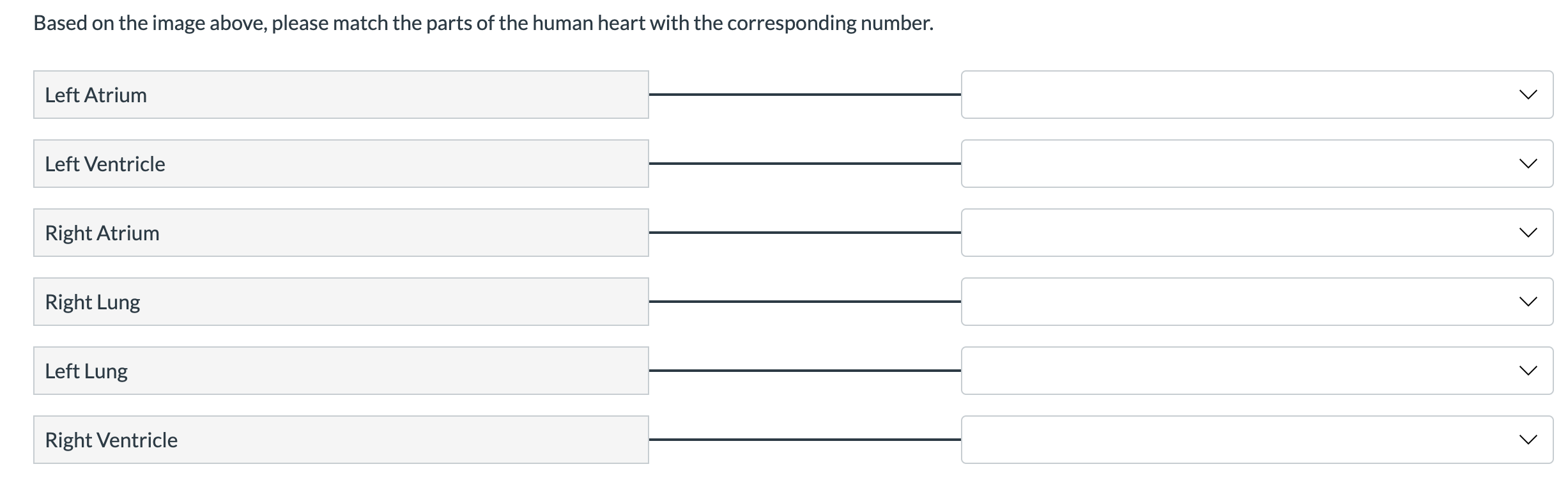 Solved Based on the image above, please match the parts of | Chegg.com