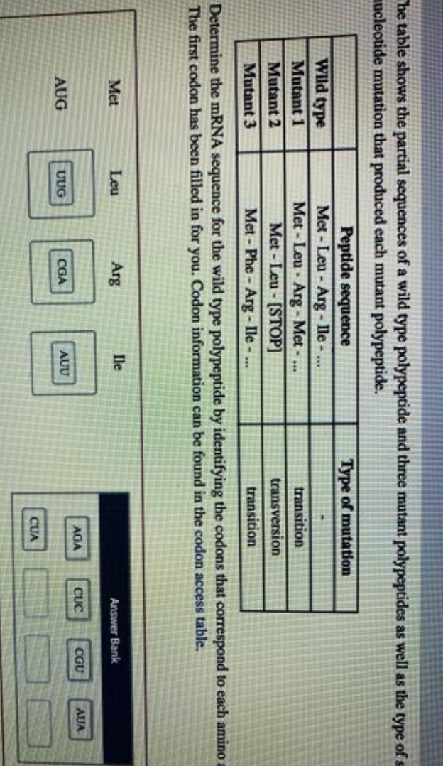 Solved he table shows the partial sequences of a wild type | Chegg.com