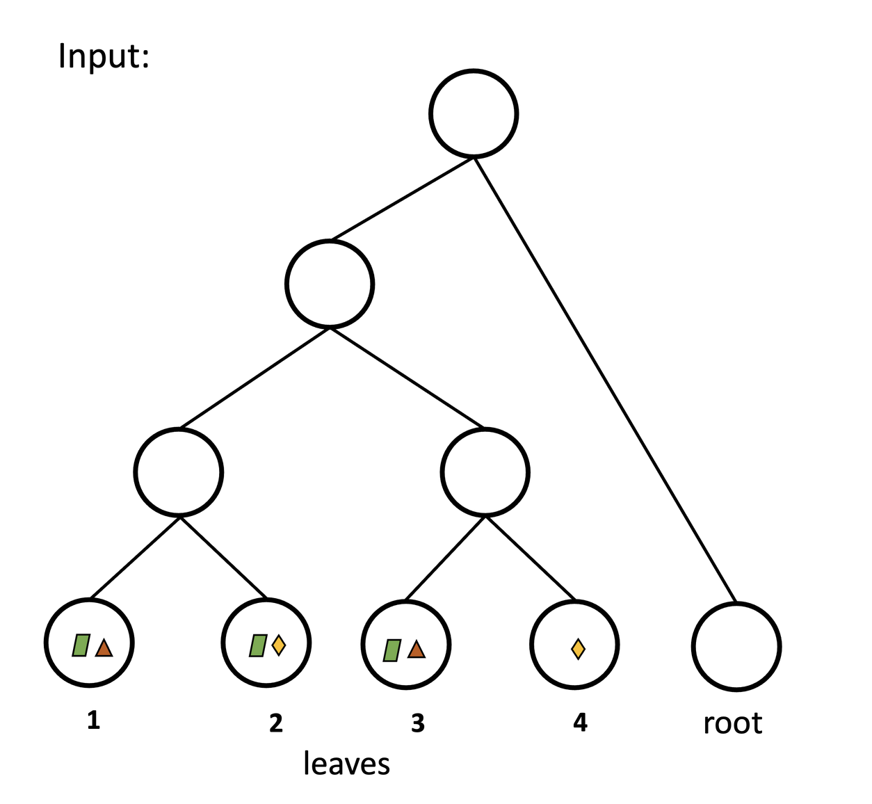 Solved Given The Following Input Mutations On The Leaf