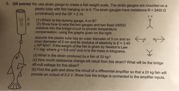 We use strain gauge to create a fish weight scale. | Chegg.com