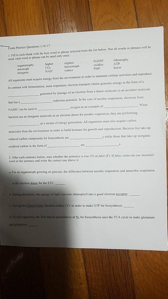 Solved Exam Practice Questions: L16-17 Fill in each blank | Chegg.com