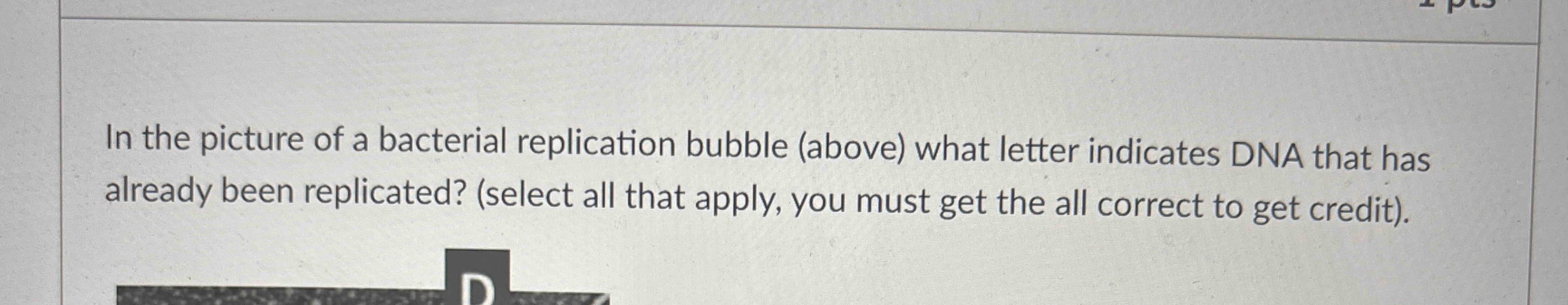 Solved In the picture of a bacterial replication bubble | Chegg.com