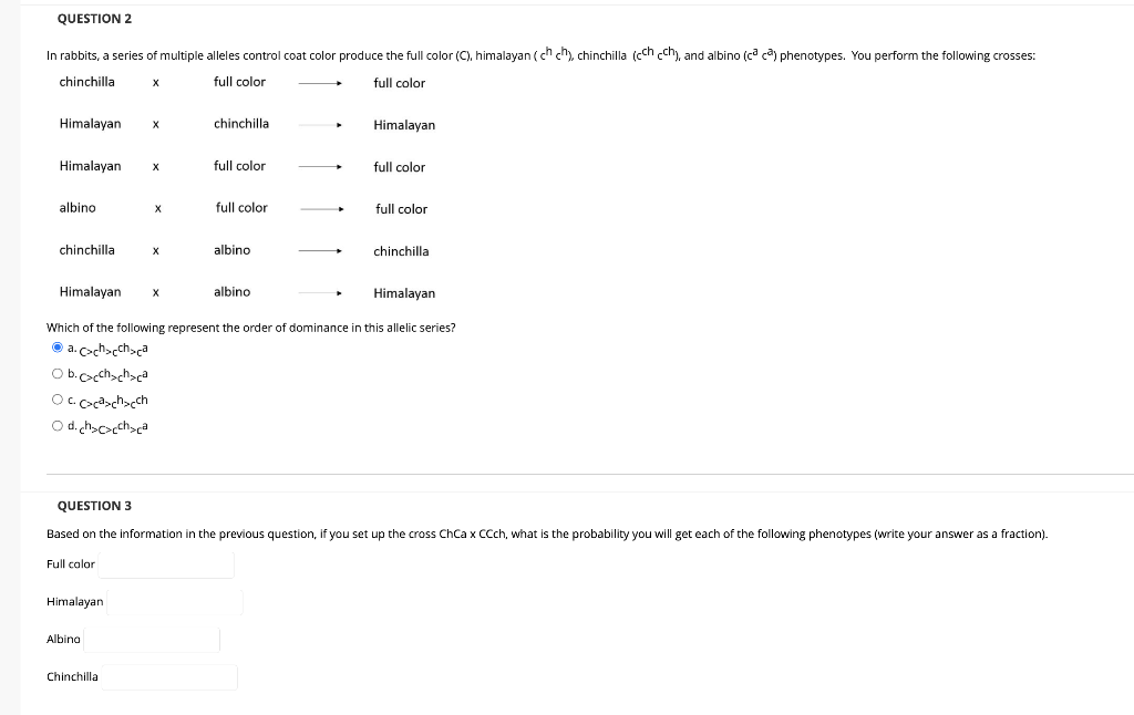 Solved QUESTION 2 In rabbits, a series of multiple alleles | Chegg.com