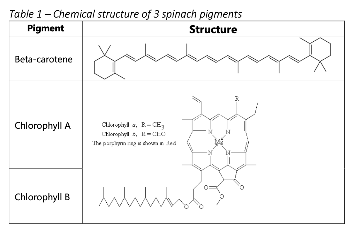 Chlorophyll B Structure