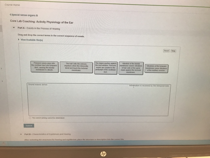 Solved Please Drag And Drop Correct Term In The Correct