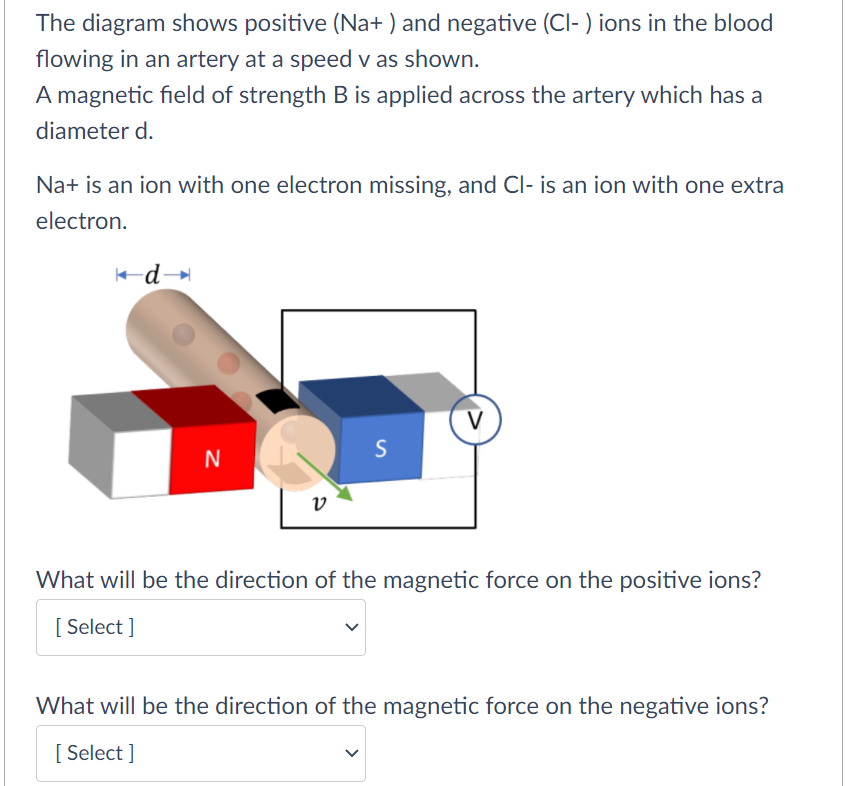 Solved The diagram shows positive (Na+) and negative (CI- ) | Chegg.com
