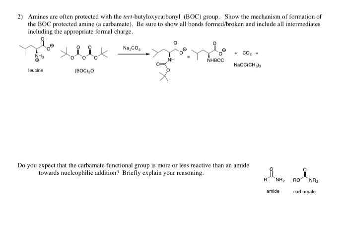 Solved 2) Amines are often protected with the | Chegg.com