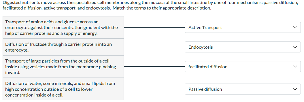 Solved Digested nutrients move across the specialized cell | Chegg.com