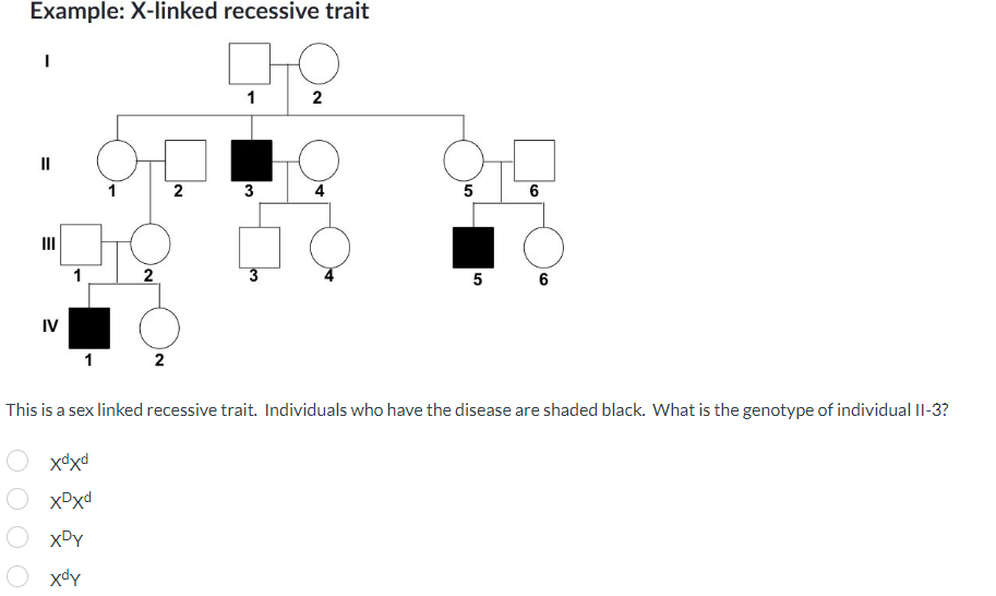Solved Example: X-linked recessive traitIIIII212This is a | Chegg.com