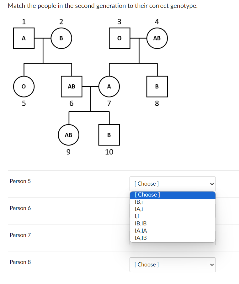 Solved Match the people in the first generation to their | Chegg.com