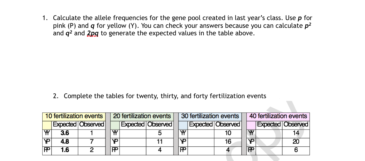 Solved 1. Calculate the allele frequencies for the gene pool | Chegg.com