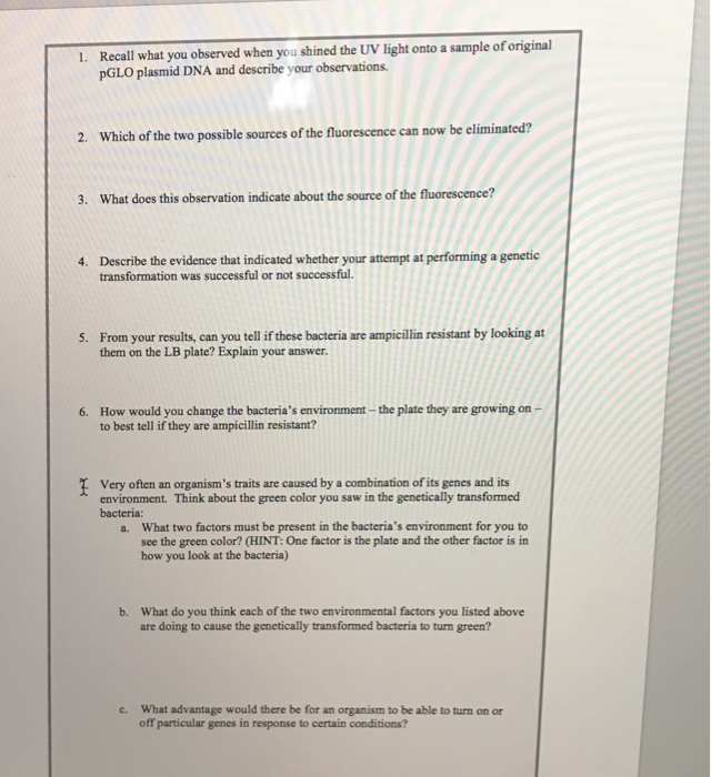 Solved Recall what you observed when you shined the UV light | Chegg.com