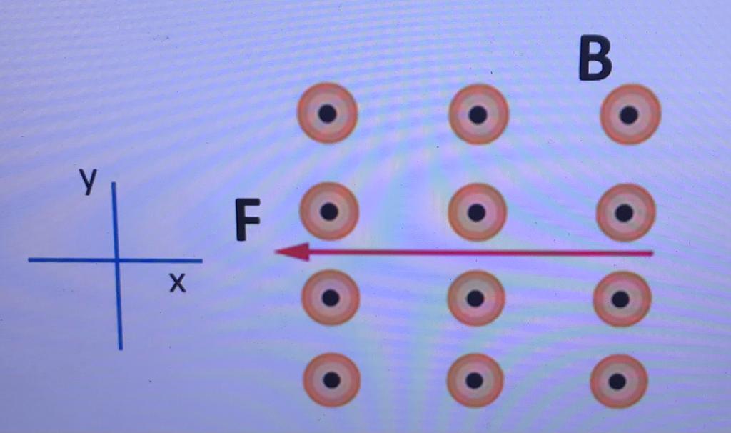 Solved What is the direction of the velocity of a negative | Chegg.com