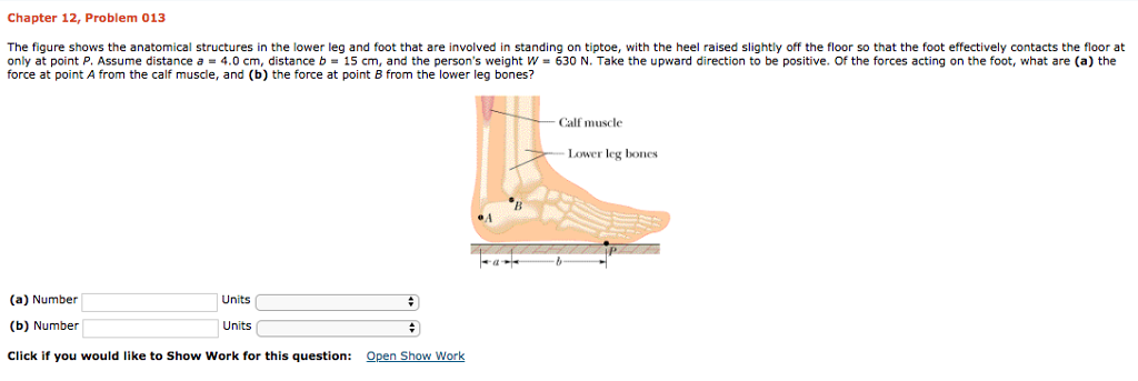 Solved Chapter 12, Problem 013 The figure shows the | Chegg.com