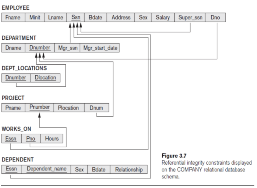 Solved Employee Fname Minit Lname Ssn Bdate Address 