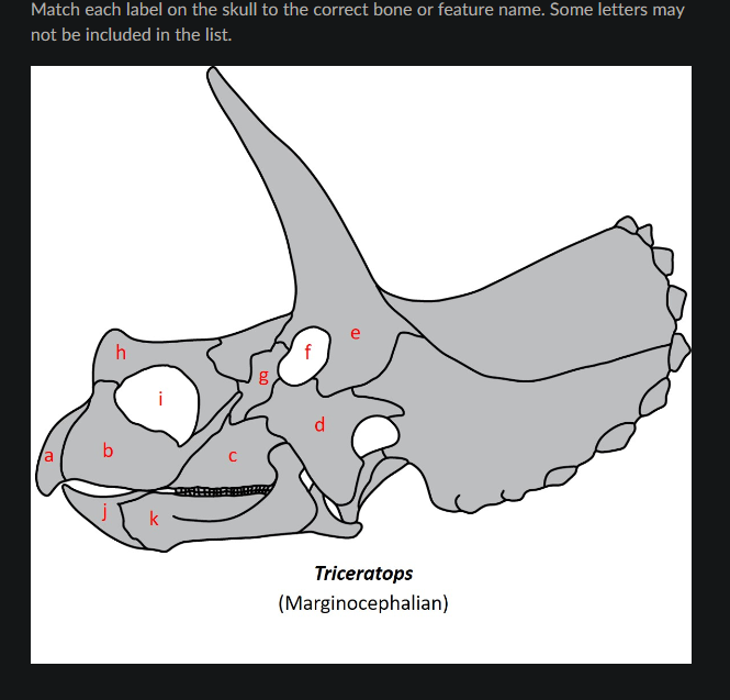 Solved Match each label on the skull to the correct bone or | Chegg.com
