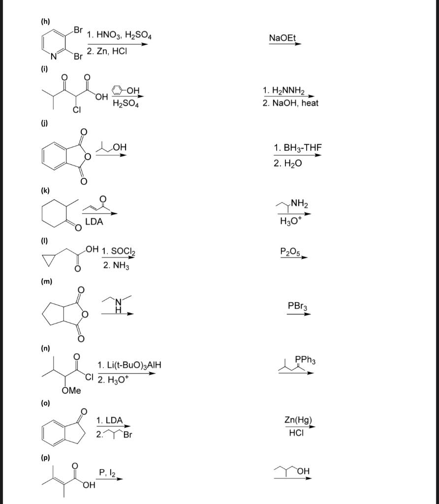 Solved (h) NaOEt Br 1. HNO3, H2SO4 2. Zn, HCI Br N (0) -OH | Chegg.com