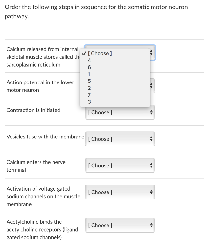 Solved Order the following steps in sequence for normal | Chegg.com
