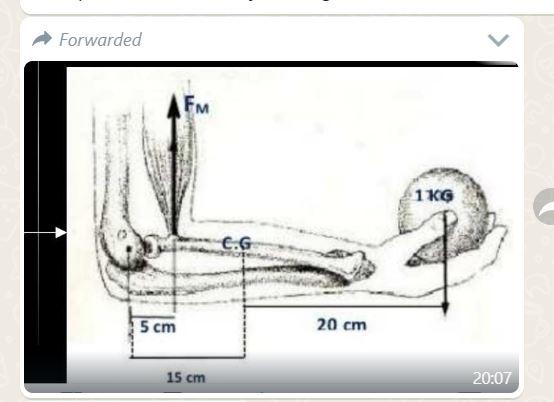 Solved The mass held in the hand is 1 kg. Suppose the mass | Chegg.com