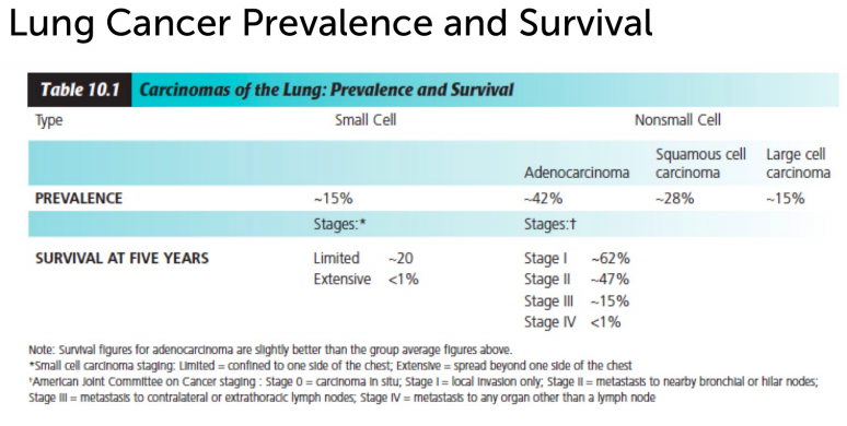 Solved Compare the survival of people who have small cell | Chegg.com