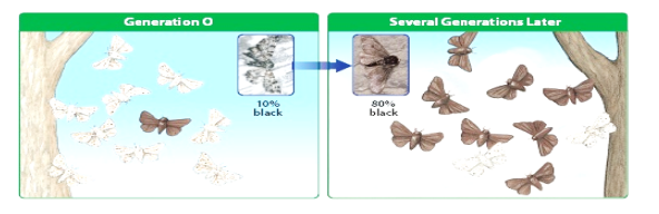 Solved The following figure shows a change of the | Chegg.com